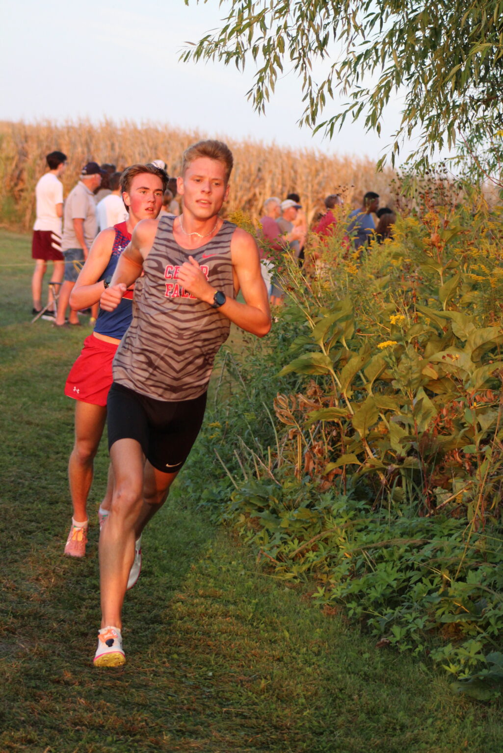 Home of Iowa Track & CC | Iowa Association of Track Coaches